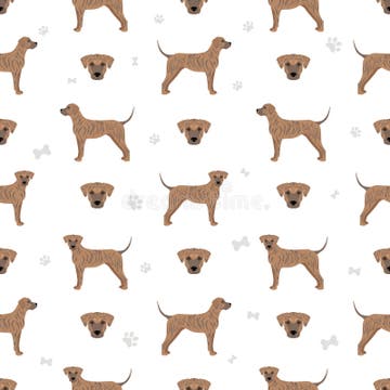Brindle Pattern Stock Illustrations – 937 Brindle Pattern Stock ...
