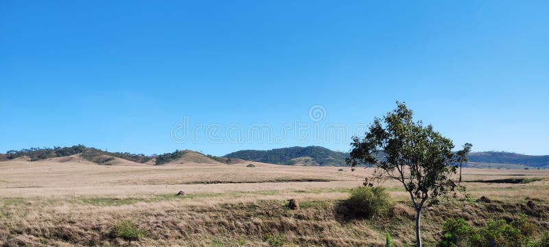 Treeless Farm stock image. Image of hill, grassland - 232964161