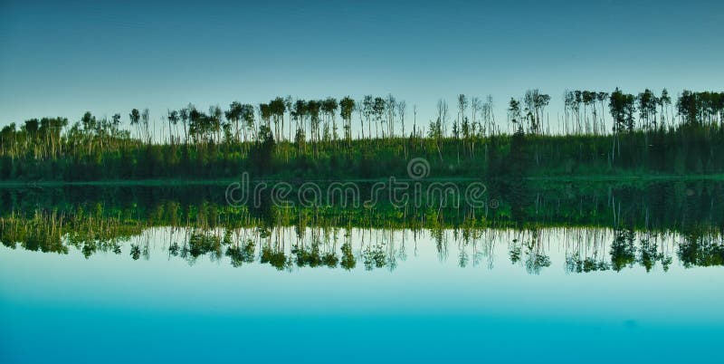 Treeline and Blue Sky by the Lake in the Evening Sun Stock Photo ...