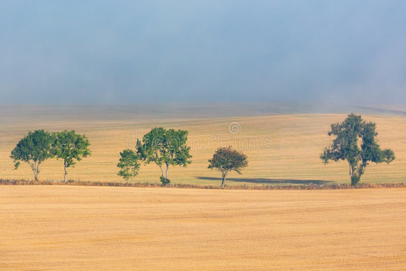 Treeline stock image. Image of scene, land, tranquil - 76952765