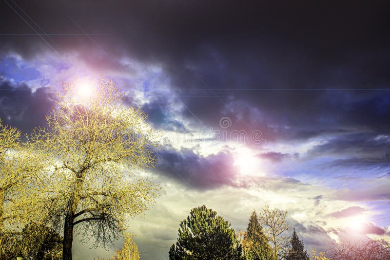 Treeline with Dark Sky stock photo. Image of treeline - 179804748