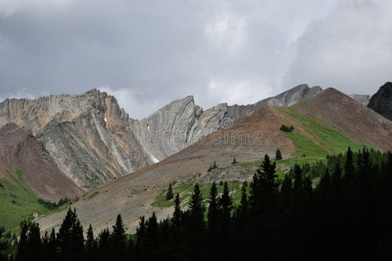 Treeline on a Mountainside stock image. Image of peak - 106700229