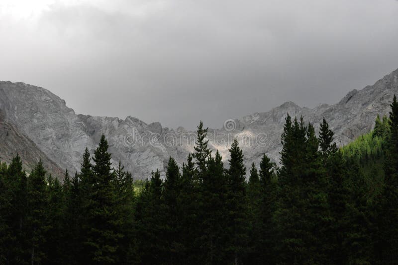 90+ Treeline Free Stock Photos - StockFreeImages