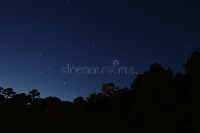 Treeline stock photo. Image of forest, tree, dark, night - 90114294