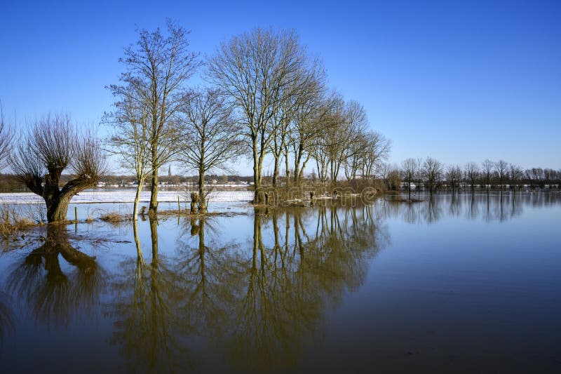 Treeline with Reflection in the Flooded River Stock Image - Image of ...