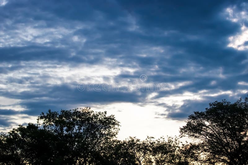 Summer Evening stock image. Image of tree, park, pink - 251742213