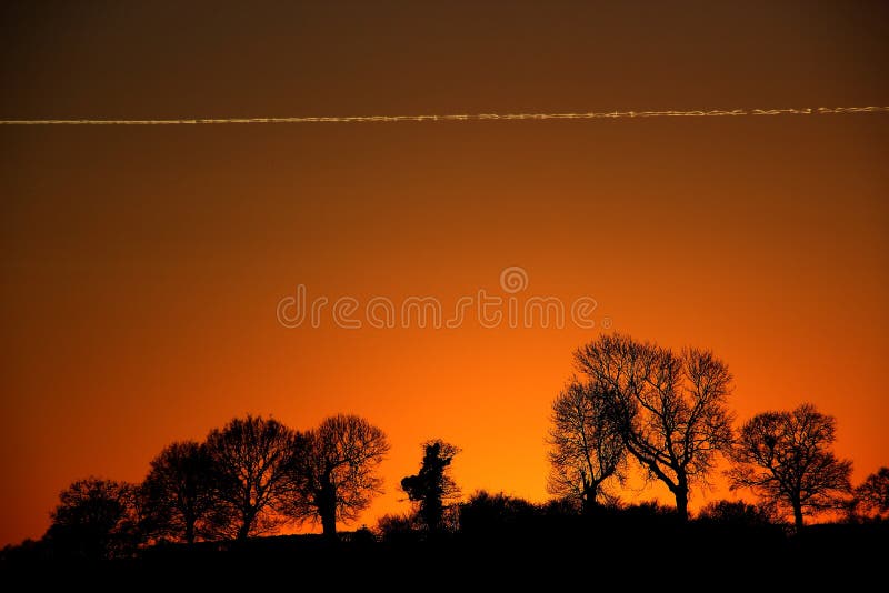 Treeline sunset stock image. Image of orange, cold, silhouette - 26036409