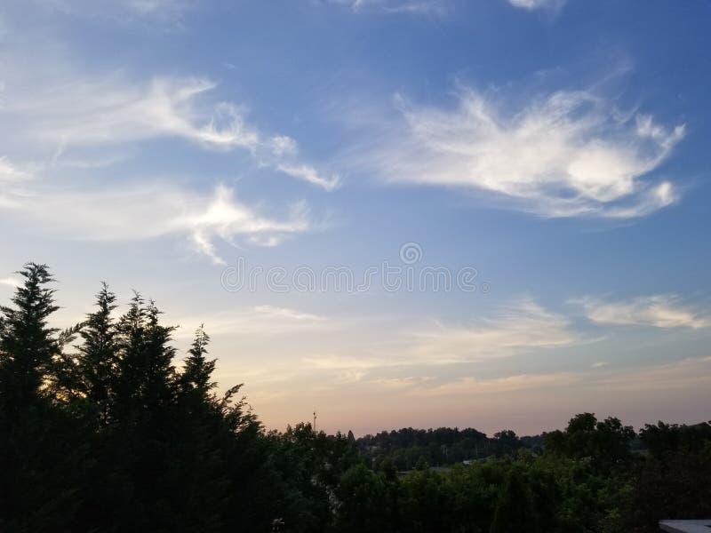Treeline views of the sky stock image. Image of river - 182264361