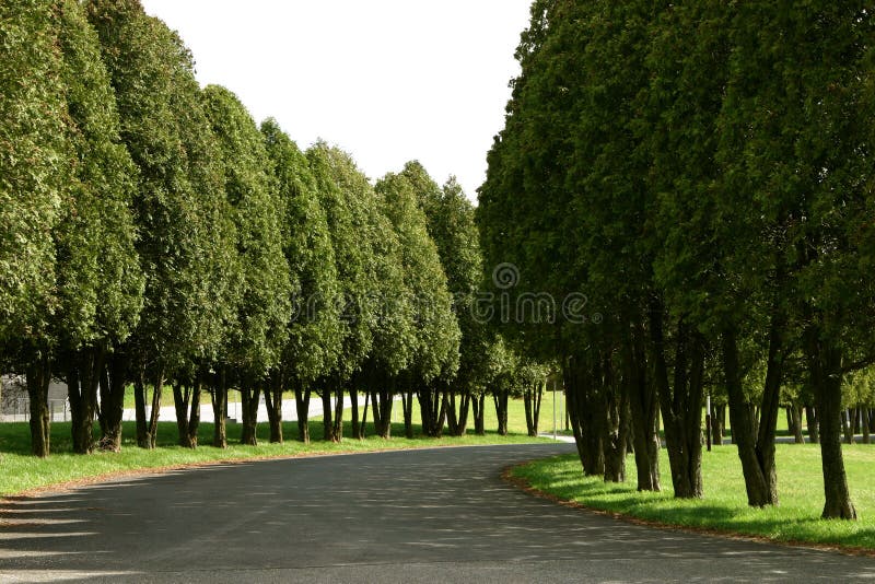 Hoover Dam stock photo. Image of construction, electric - 19176388