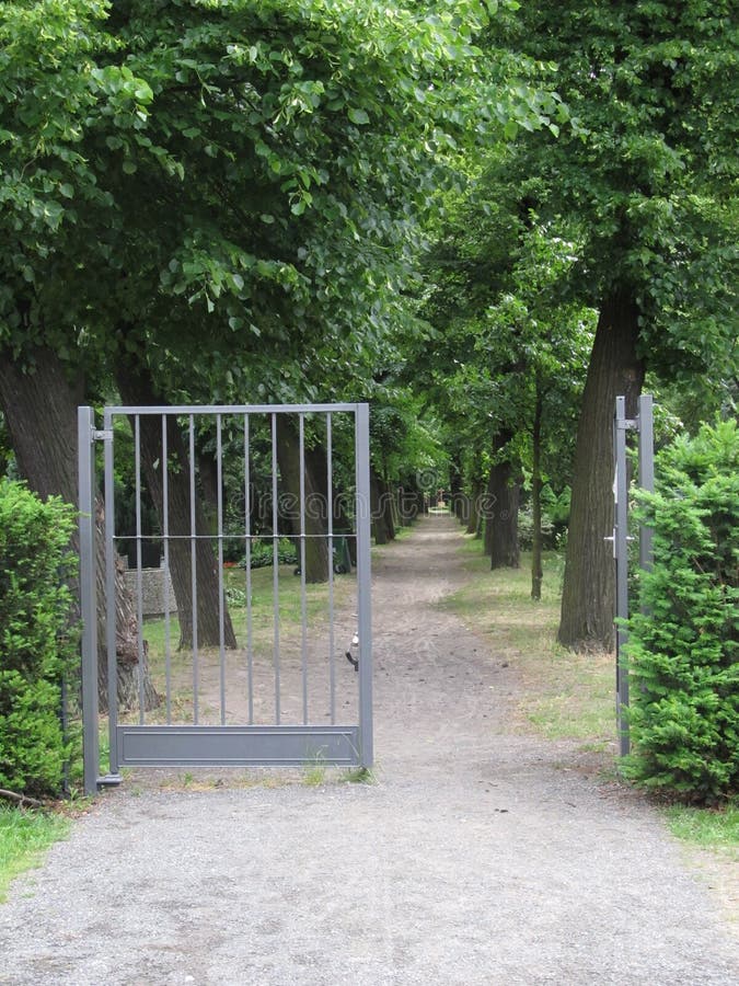 Treelined Path and Open Gate Stock Photo - Image of regal, beautiful ...