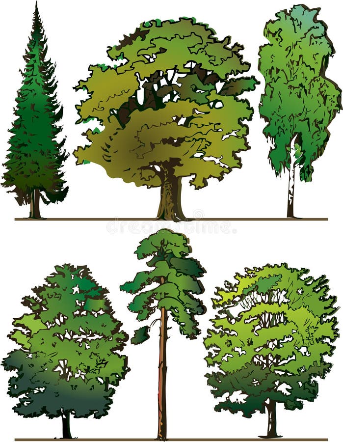 Set of Trees Drawing by Watercolor Stock Vector - Illustration of ...