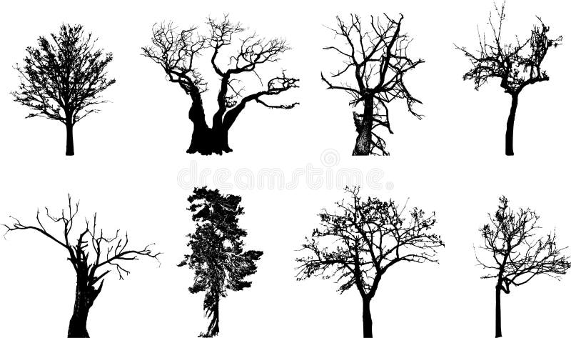 Trees stock vector. Illustration of shape, tree, plants - 13606724