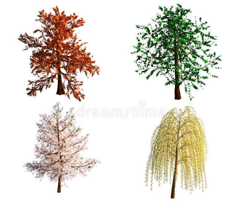 Set of Trees Isolated on White Stock Illustration - Illustration of ...