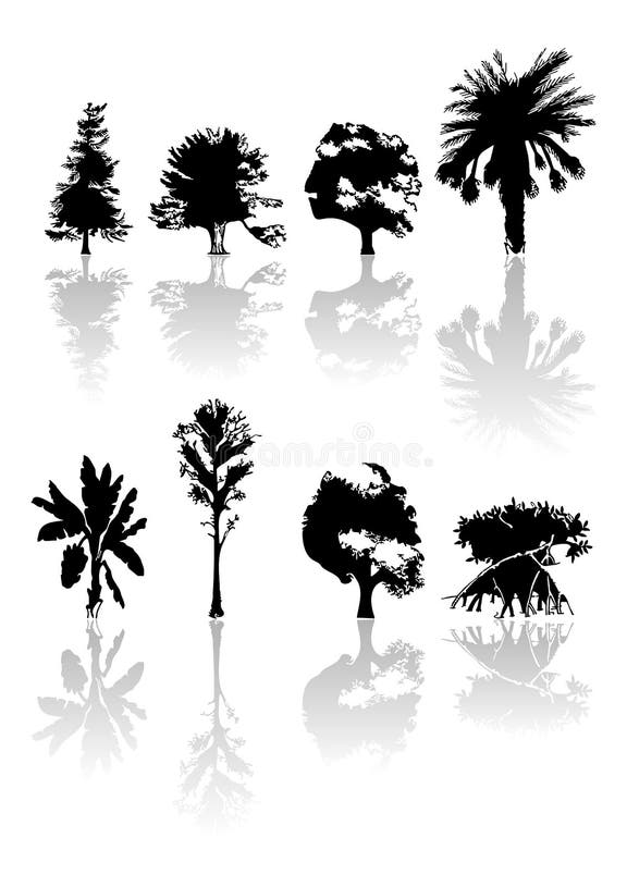 Yew Trees Stock Illustrations – 293 Yew Trees Stock Illustrations ...