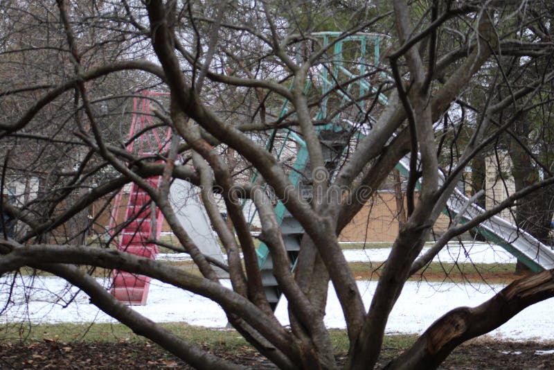Into the Trees stock photo. Image of park, slides, trees - 175561920