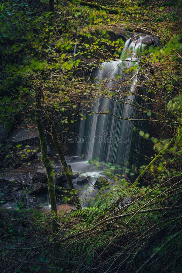 VIEW of the WATERFALL through the TREES Stock Photo - Image of creek ...