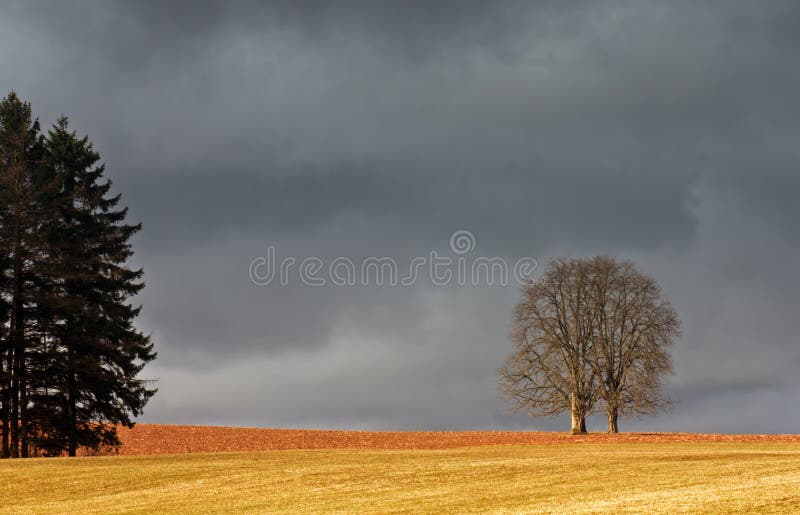 Storm Weather stock photo. Image of tree, storm, weather - 176714