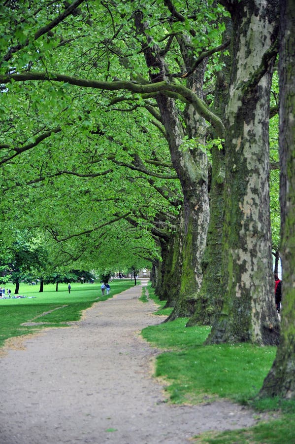 Leicester square, london editorial stock photo. Image of trees - 818098