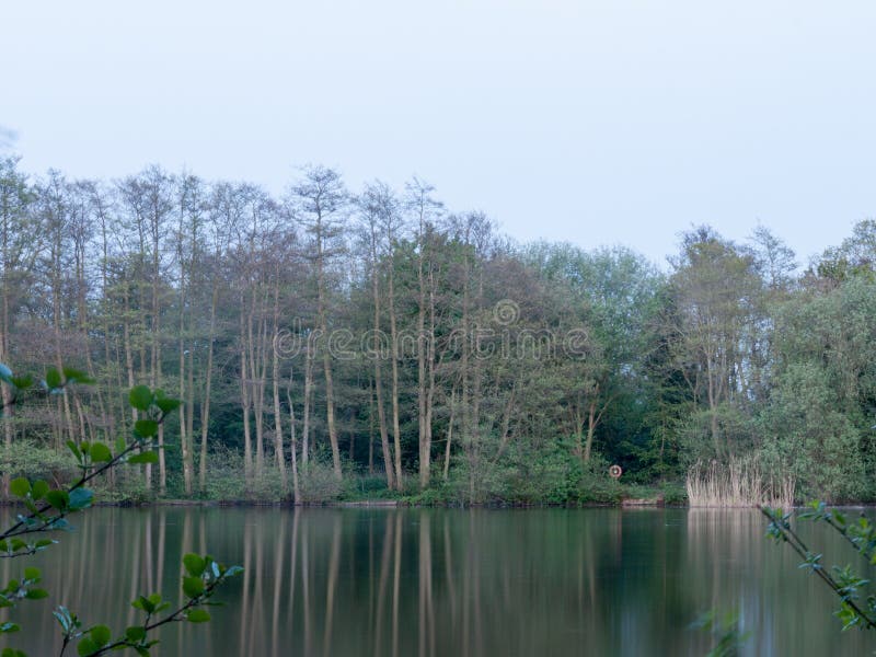Trees Across the River Lake Bank during Sunset Stock Image - Image of ...