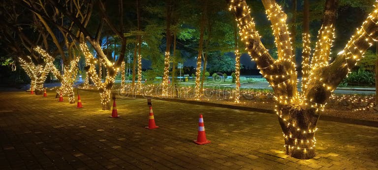 Tree Wrapping Lights for Outdoor Decoration LED String Lights on Trees ...