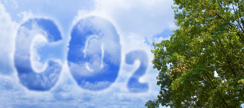 Trees Against CO2 - Concept Image with CO2 Text Against a Cloudy Sky ...