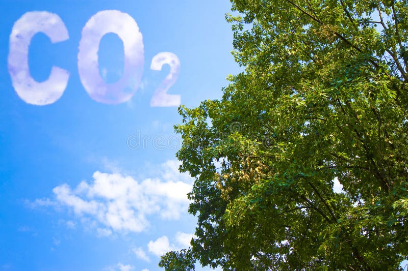 Trees Against CO2 - Concept Image with CO2 Text on Woodland Stock ...