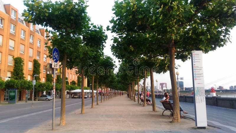 Trees are Aligned in a River Promenade at Dusseldorf Editorial Stock ...