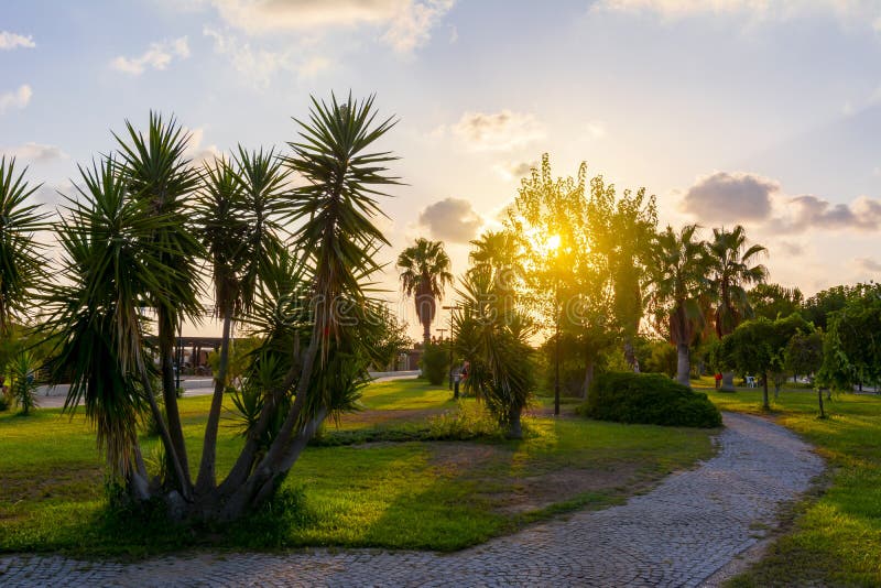 Trees Along Beach Promenade in Side at Sunset, Turkey Stock Photo ...