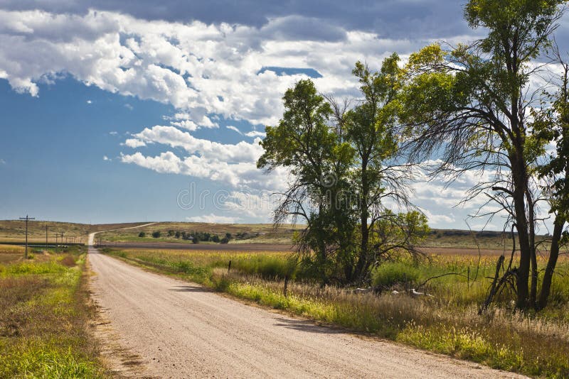 Trees along a country Road stock photo. Image of country - 16024382