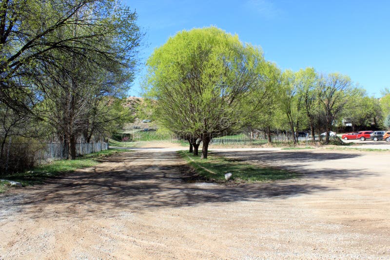Trees Along a Dusty Road stock image. Image of trees - 89675117