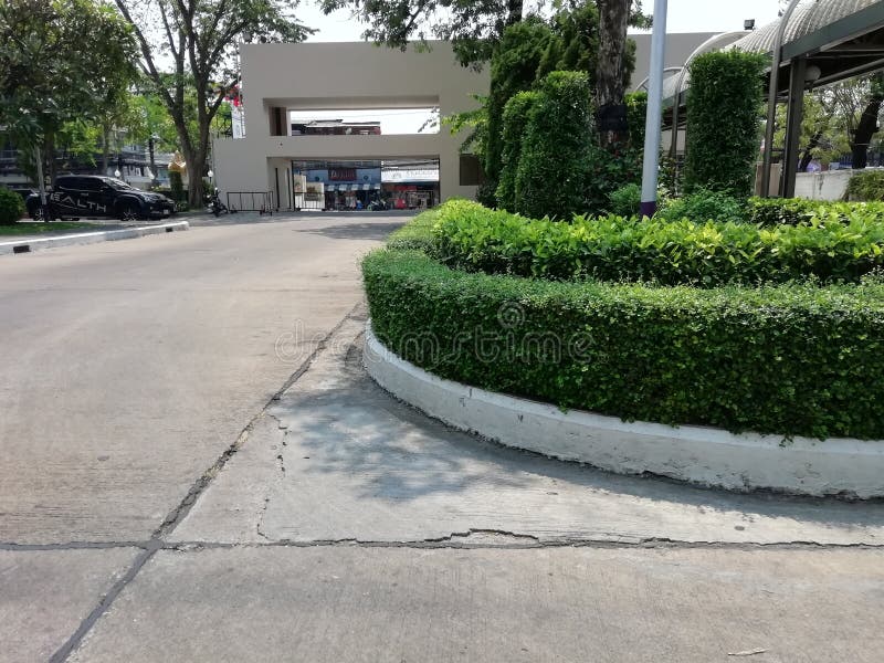 The Trees are Along on the Entrance and Exit Stock Photo - Image of ...