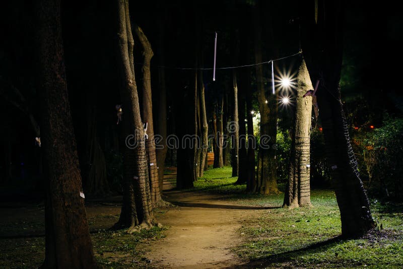 Path at night stock photo. Image of night, october, figure - 22012898