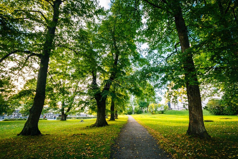 Trees Along a Path at Suomenlinna, in Helsinki, Finland. Stock Image ...