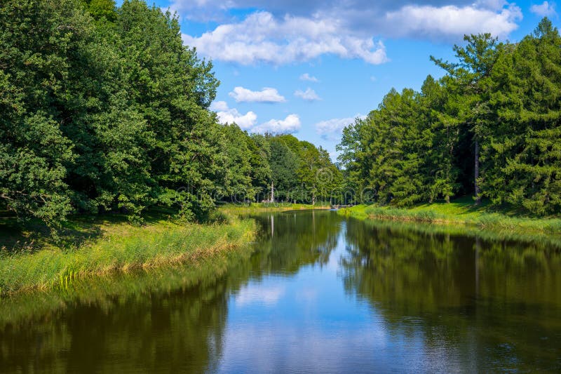 Trees along the river bank stock image. Image of bank - 332107339