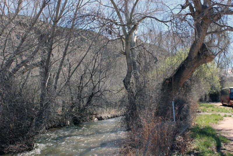 Trees Along the River stock image. Image of river, foothill - 89676567