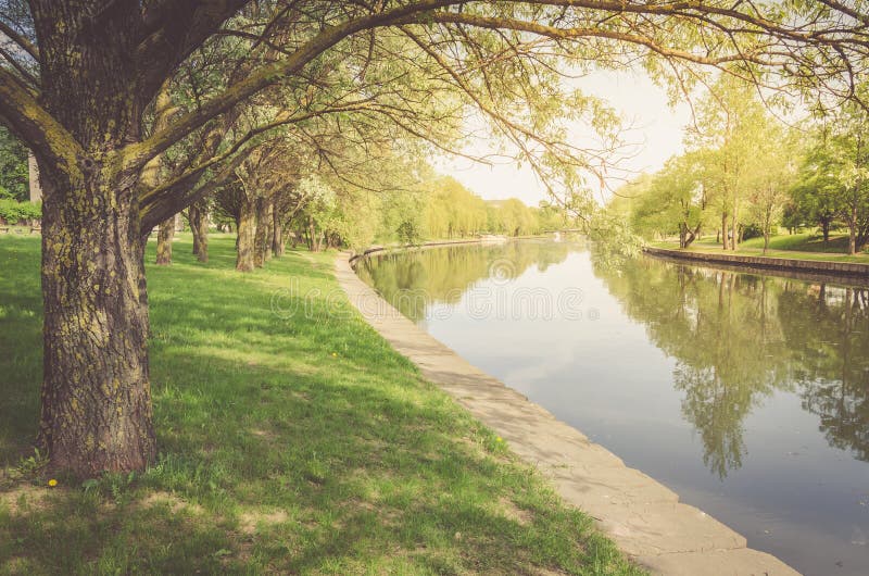 Trees Along the River in Park/trees Along a Reservoir Sunny Day Stock ...