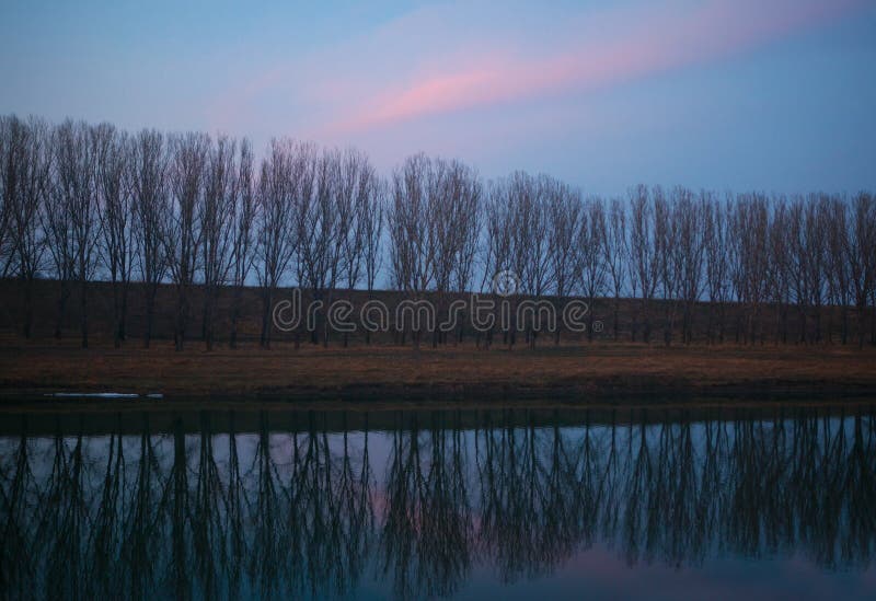 Trees along the river stock image. Image of evening - 123260695
