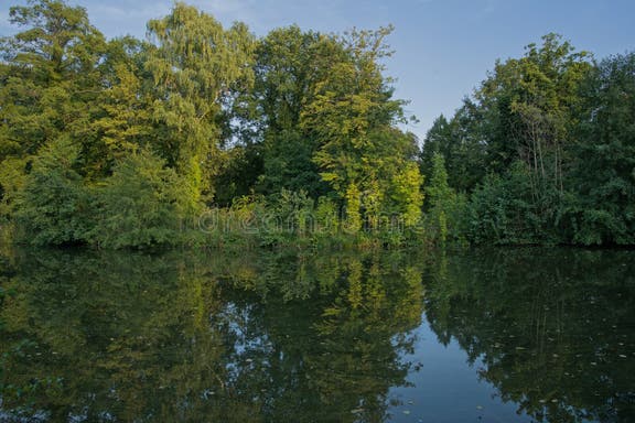 Trees Along River Spree Reflecting in the Water Stock Image - Image of ...