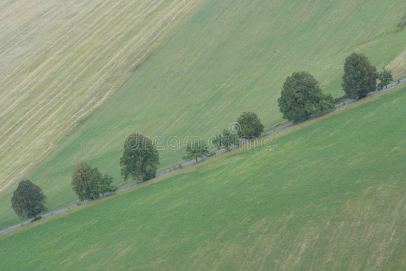 Trees along road stock image. Image of path, trees, field - 41213393