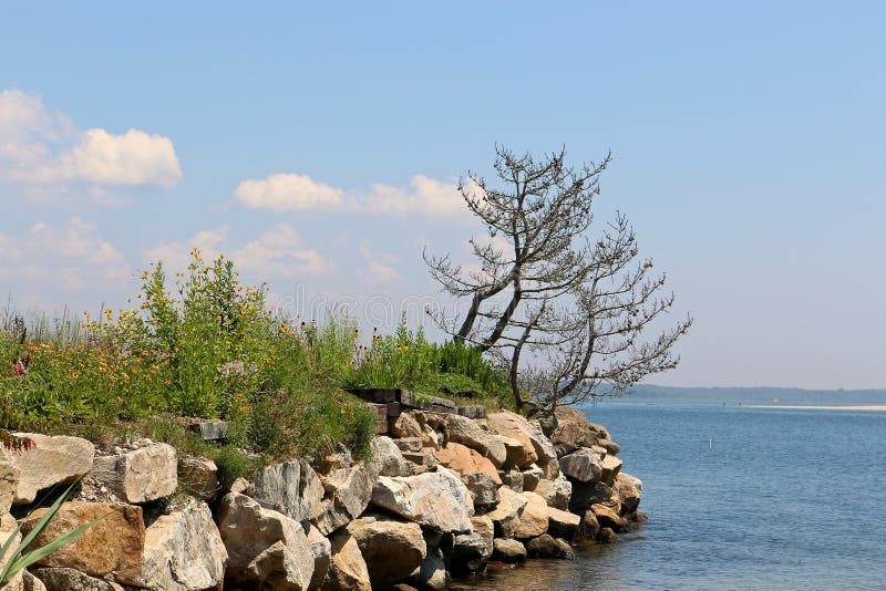 Trees along rocky shore stock image. Image of cloudy - 56917383