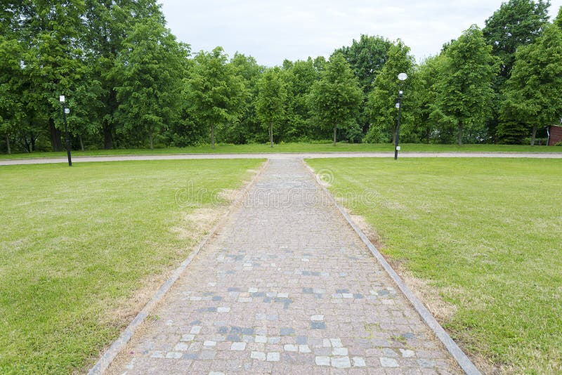 The Trees Along the Walkway and Lawn. Stock Image - Image of beauty ...