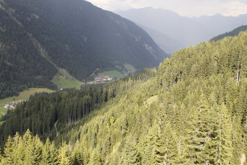 Trees stock image. Image of green, austria, mountaineering - 85132793