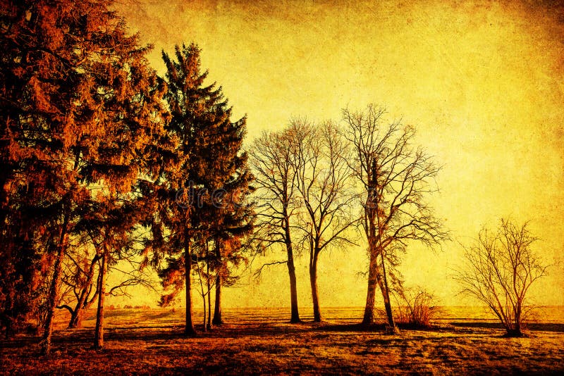Trees with Antique Style Texture Stock Photo - Image of antique ...