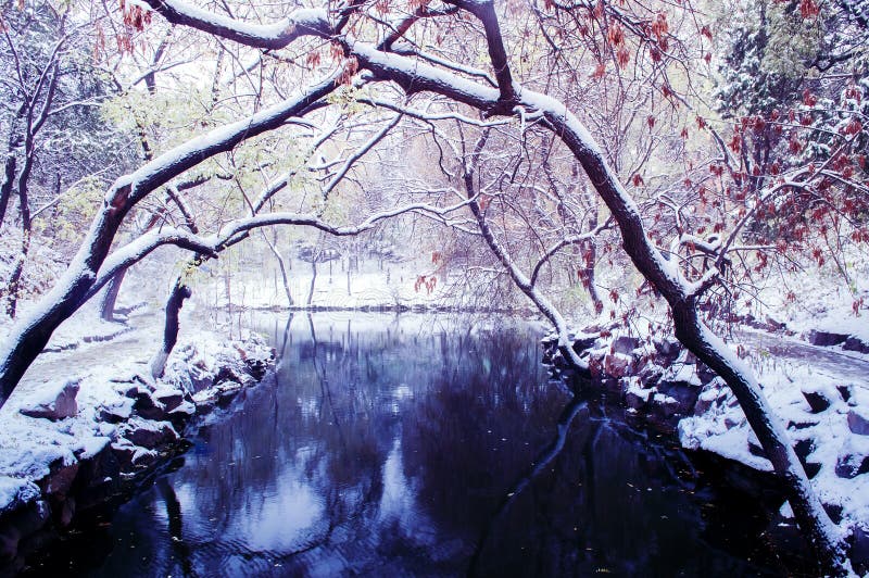 Trees Arch Over Snowing River 2 Stock Photo - Image of arch, scene ...