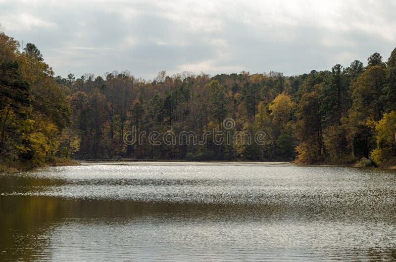 Trees Around Lake and Reflection Stock Photo - Image of trees, tree ...
