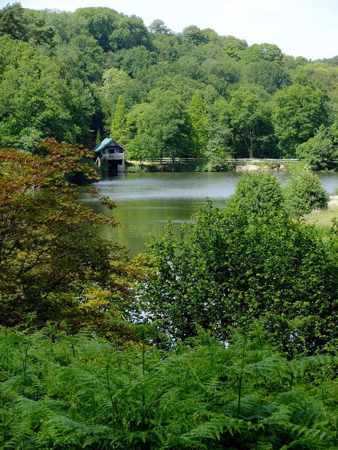 Trees around a Lake stock photo. Image of lake, waterscape - 90989414