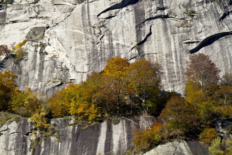 Trees in autumn stock image. Image of natural, rocky - 21838059