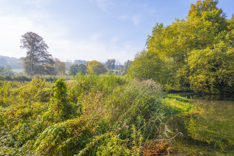 Trees in Autumn Colors Along a Stream in a Meadow in Sunlight Stock ...