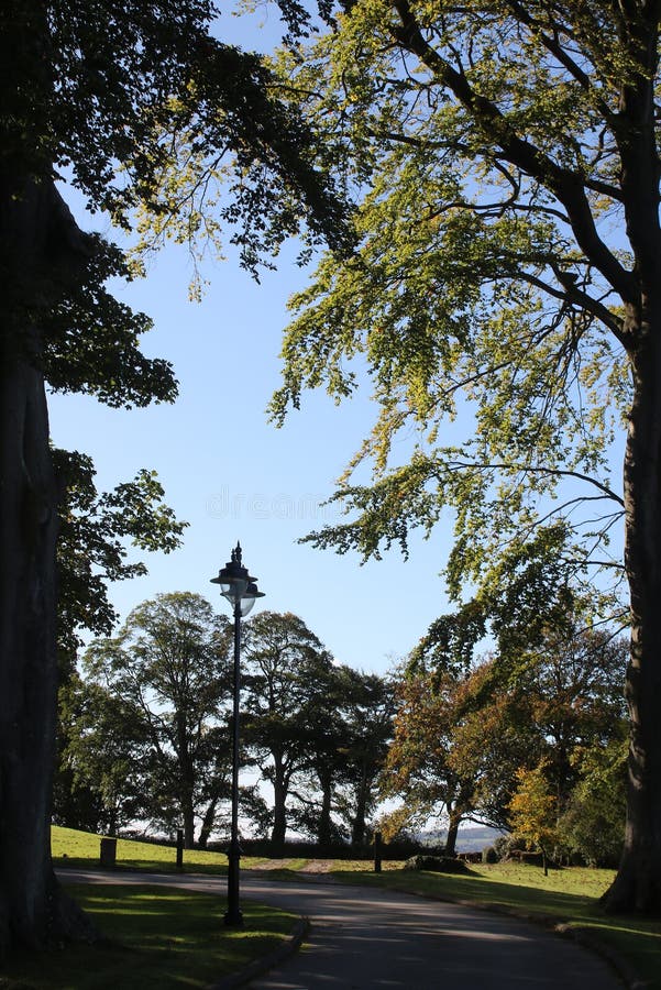 Trees in Autumn Colors, Lamp Post and Driveway Stock Image - Image of ...