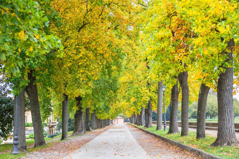Autumn in Lucca stock photo. Image of change, city, natural - 255516978